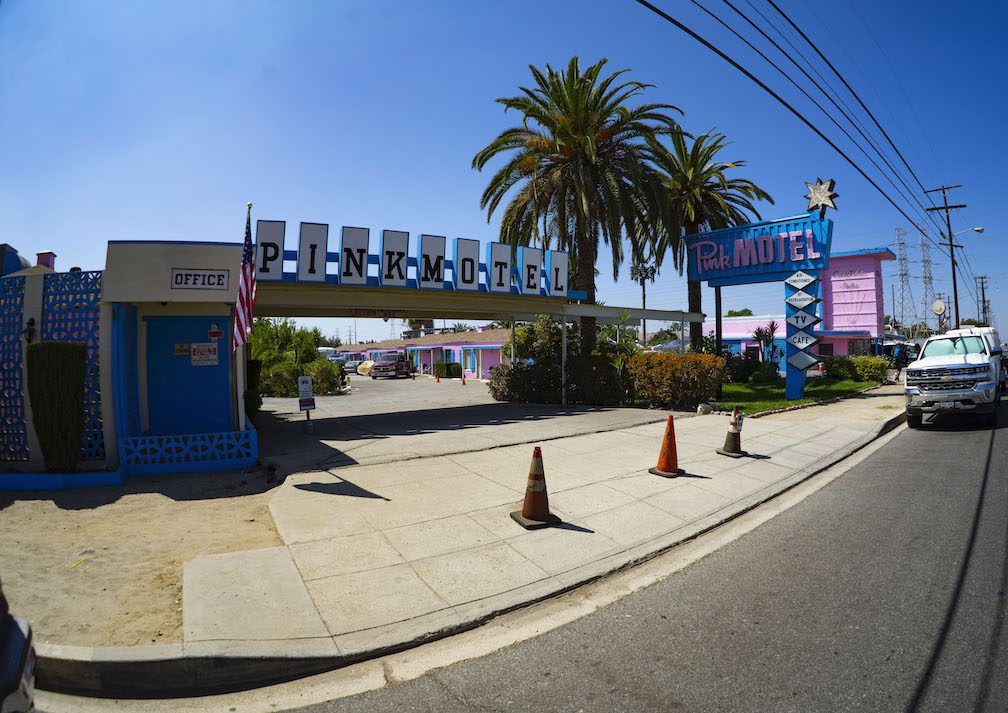 Shred Fest Keeping It Punk at the Pink Motel – Juice Magazine